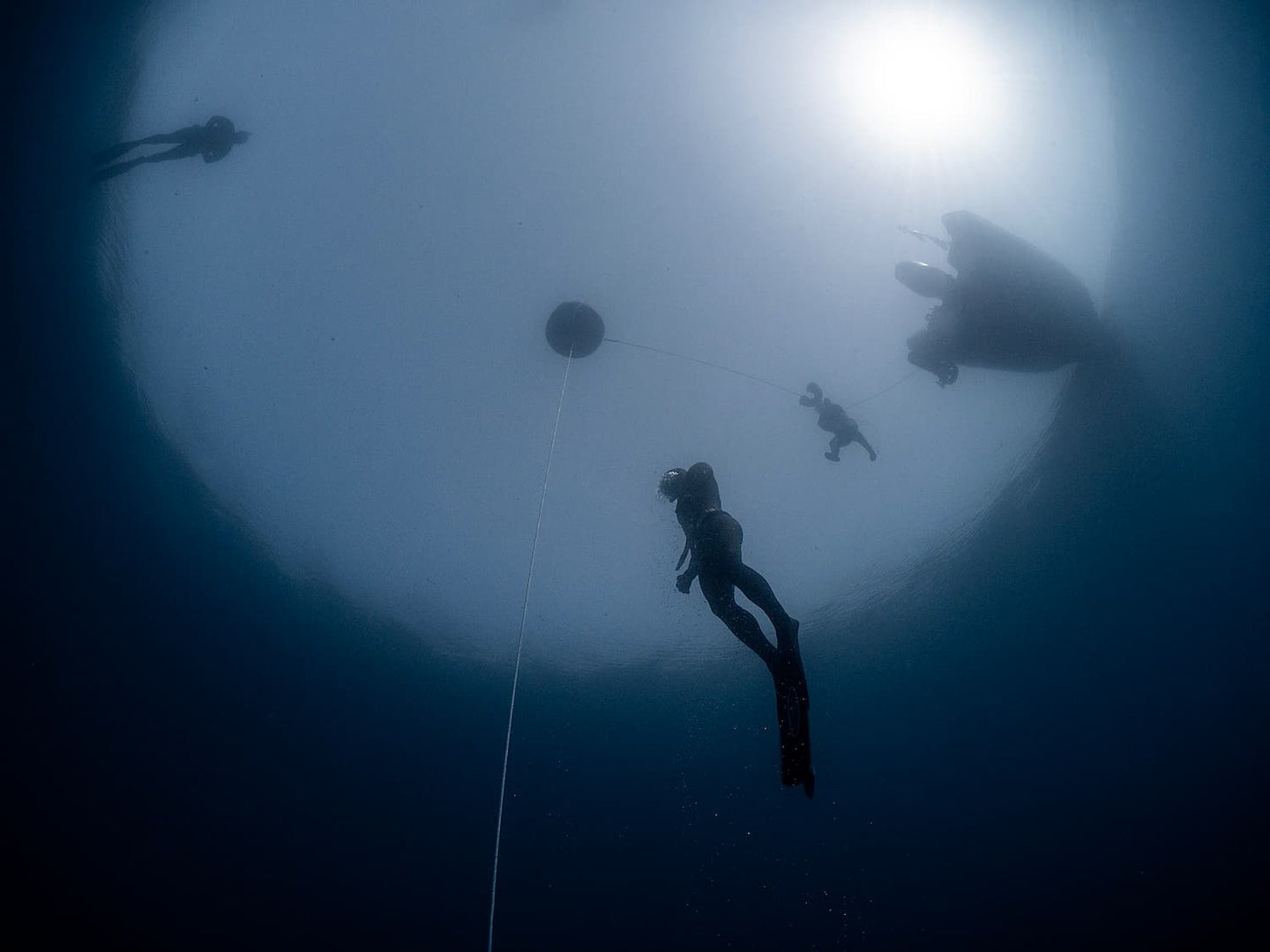 The Tragic Death Of Freediver Audrey Mestre – Alchemy