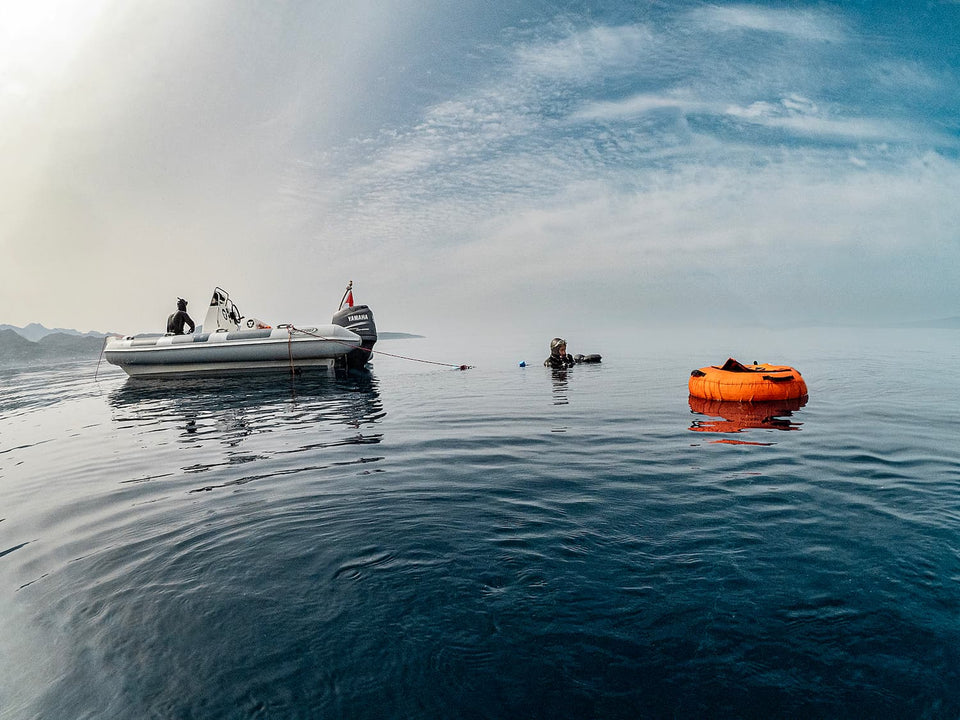 The Tragic Death Of Freediver Audrey Mestre – Alchemy