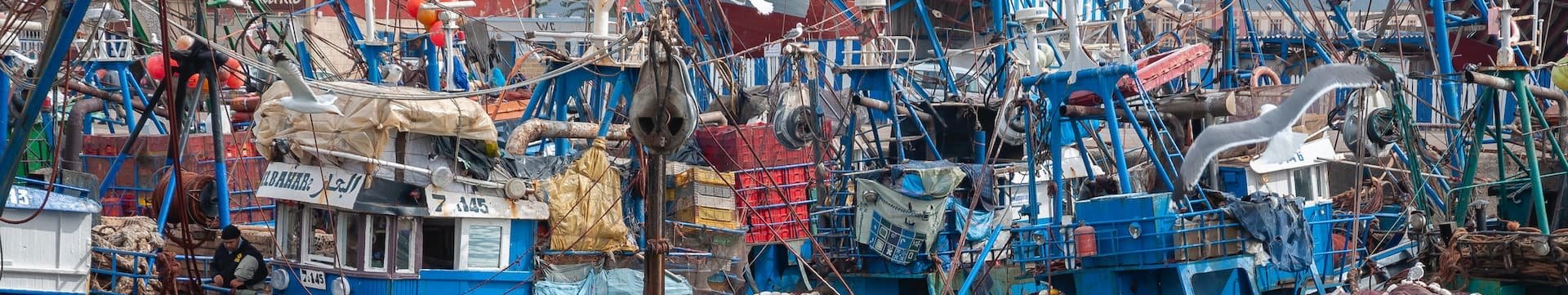 The Ecological Impacts Of Bottom Trawling On Ocean Ecosystems