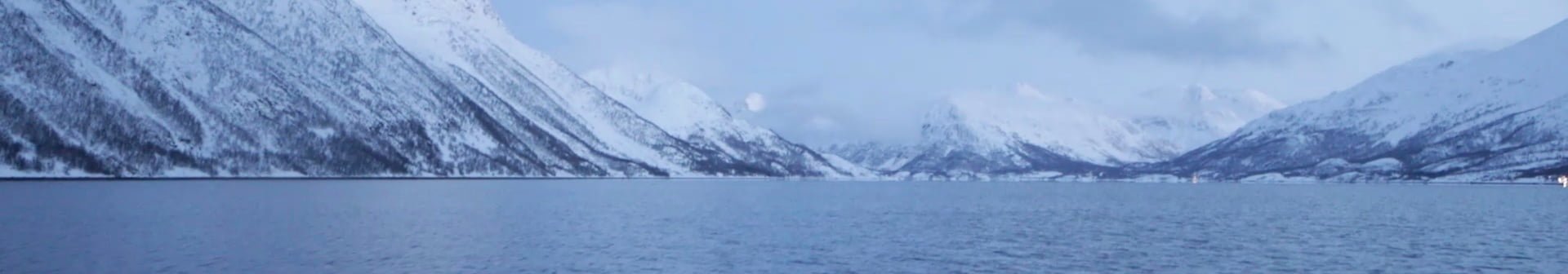 5 Things To Avoid While Freediving In The Arctic